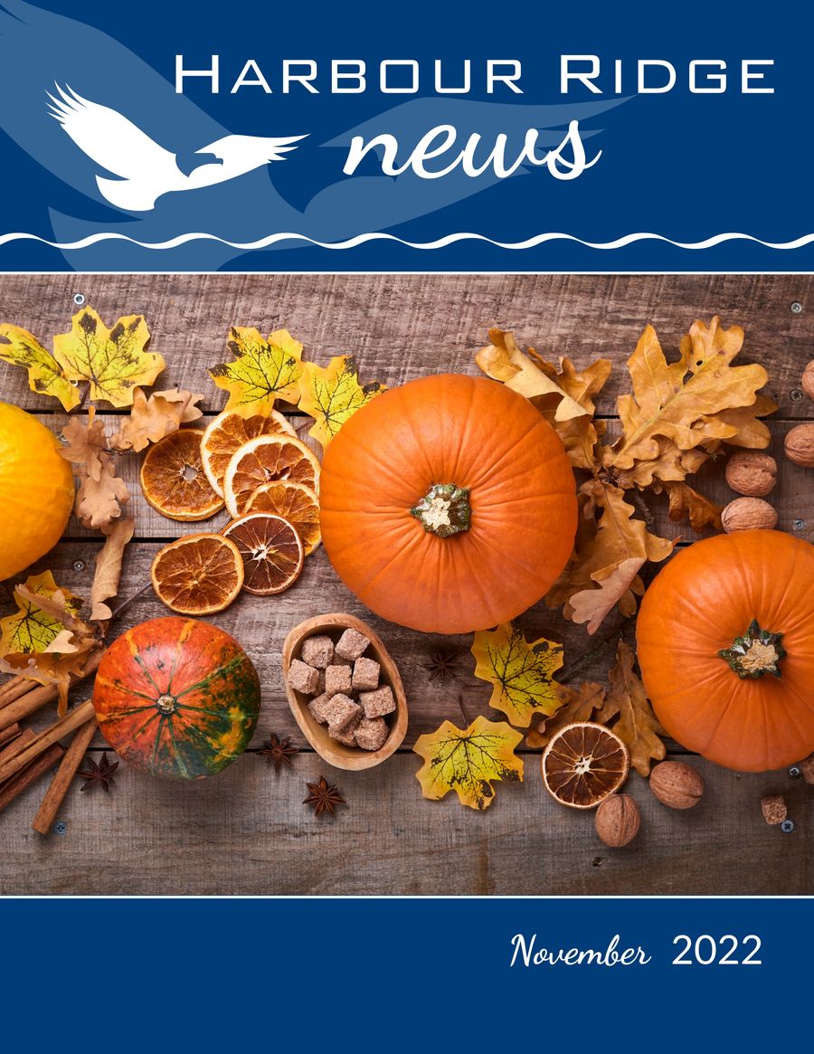 Harbour Ridge News - November 2022 by... - Flipsnack