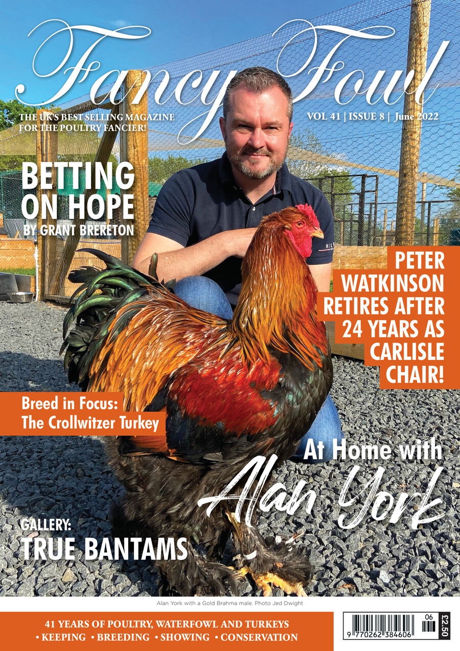 Fancy Fowl June 22 by Greg Davis - Flipsnack