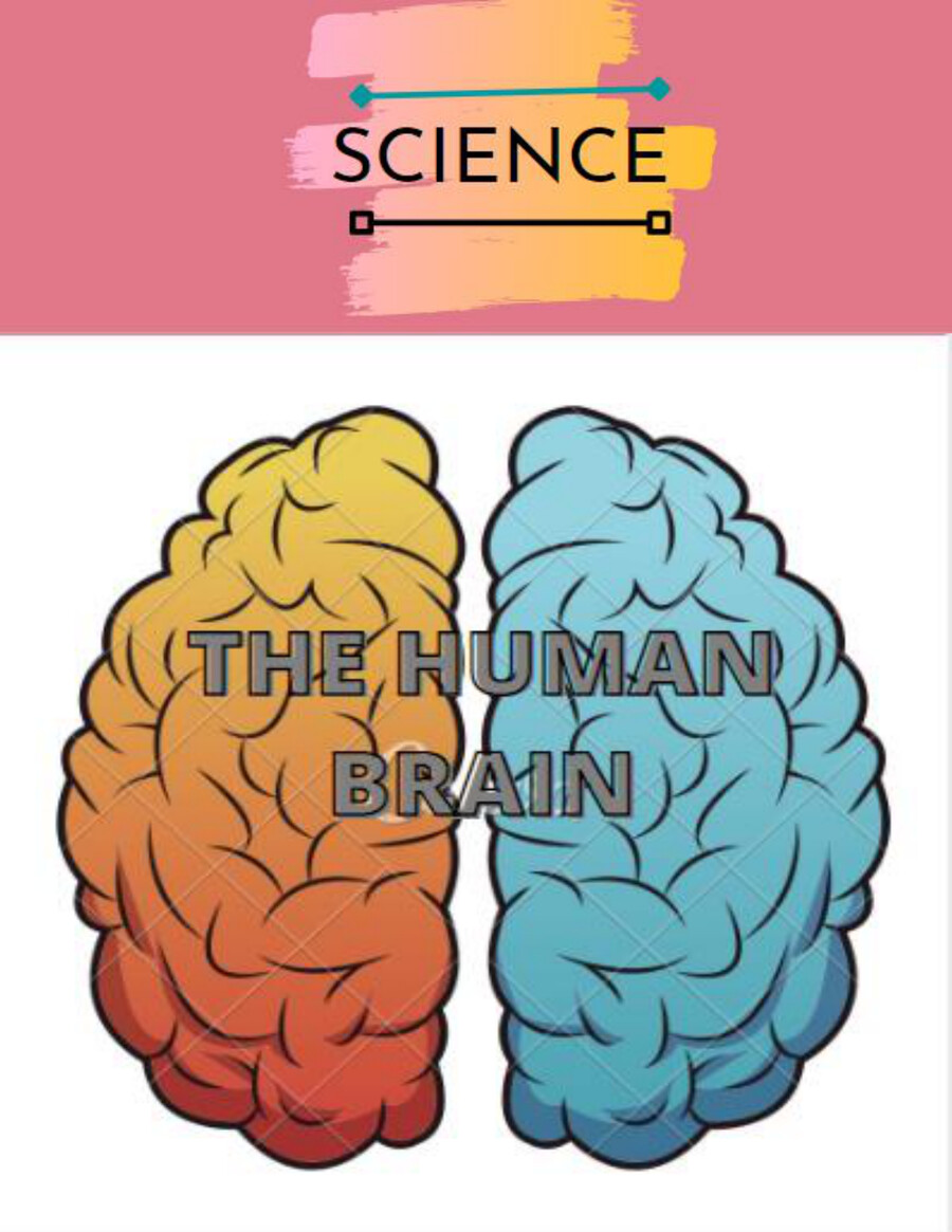 the human brain( science magazine) (PT - EAPP) Final by Ivy Grace Hocoman - Flipsnack