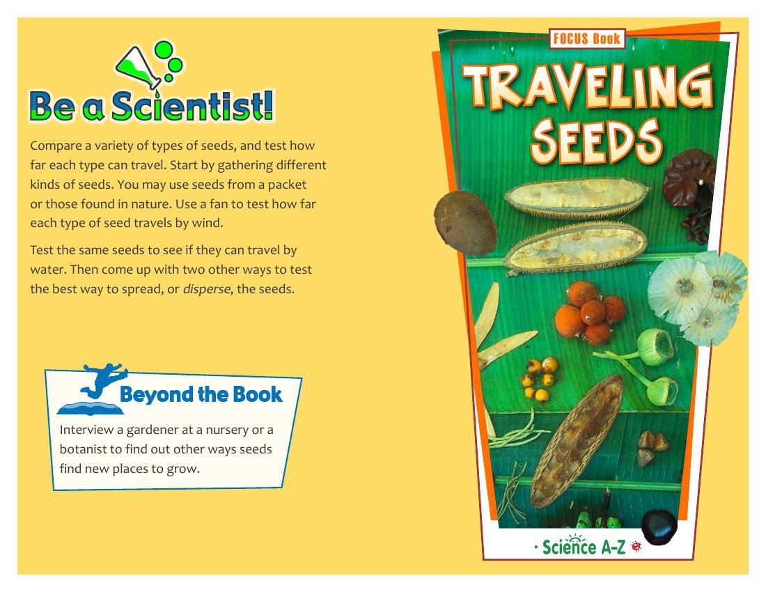 Traveling Seeds by Laura - Flipsnack