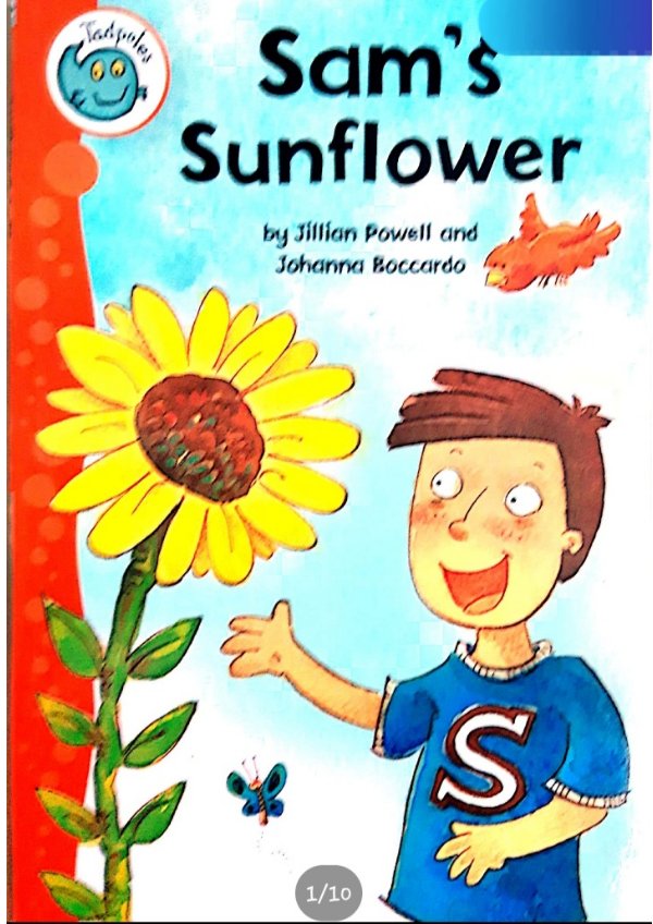 Sam's Sunflower by... - Flipsnack