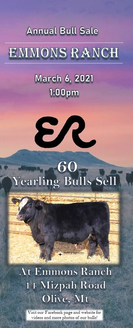 2021 Emmons Ranch Bull Sale by Ashley - Flipsnack