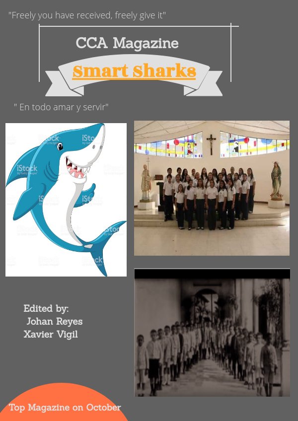 CCA magazine by Johan... - Flipsnack