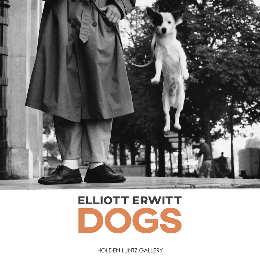 Elliott Erwitt Dogs Book Publish HL by Holden Luntz Gallery - Flipsnack