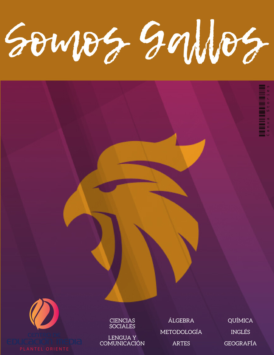 REVISTA TIC'S by - Flipsnack