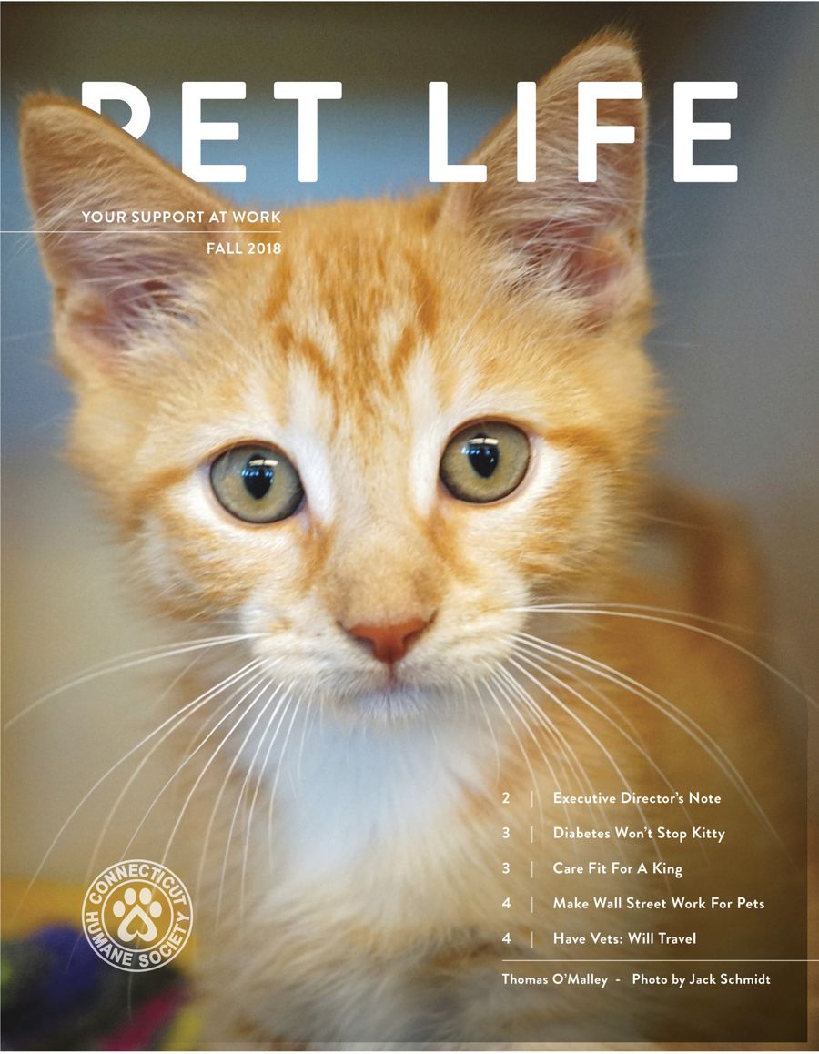 Pet Life newsletter Fall 2018 by... - Flipsnack