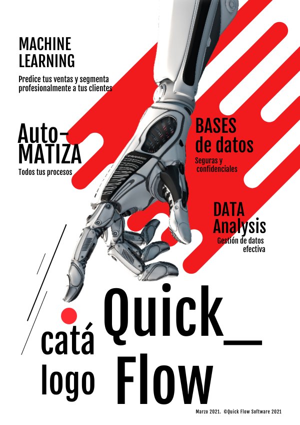 Quick Flow Software by DAVID PALOMINO... - Flipsnack