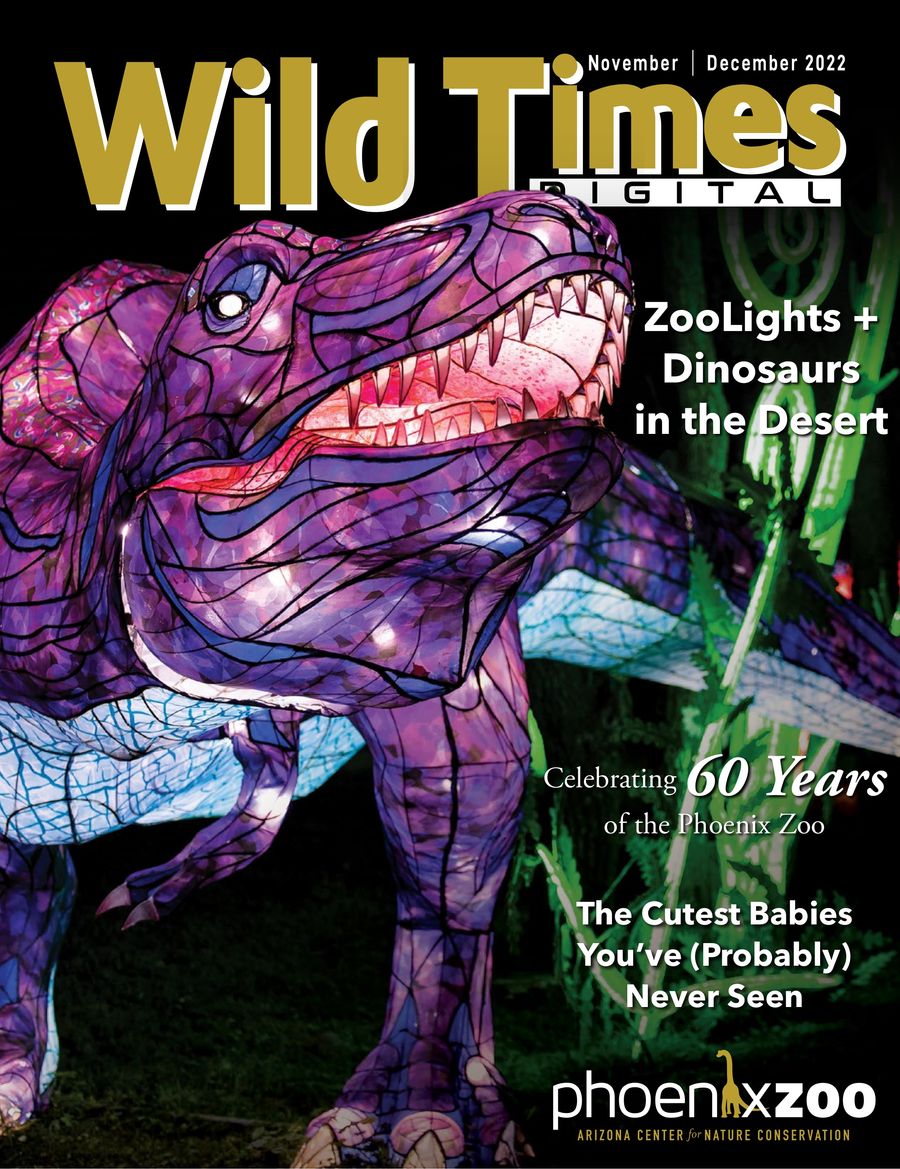 Wild Times November December 2022 WEB by phxzoo - Flipsnack