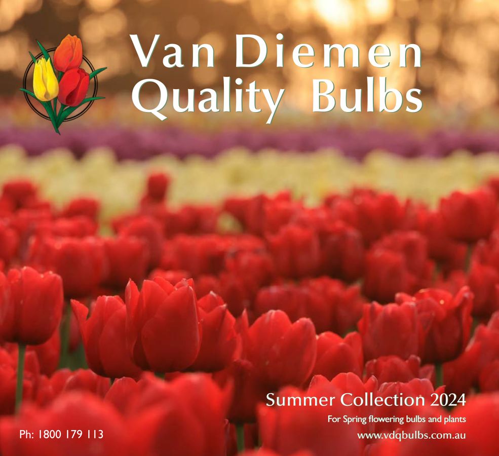Summer Collection 2024 - For spring flowering bulb and plants by Van ...