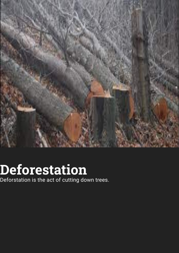 Deforestation Magazine By Kaleb Daniel by Kalooub_ Kalooub_ - Flipsnack