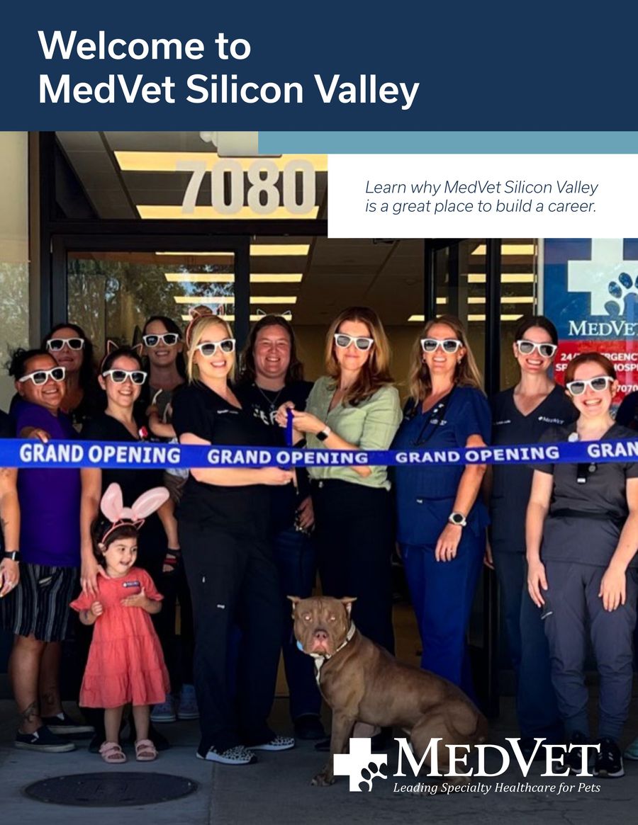 MedVet Silicon Valley Digital Magazine by MedVet - Flipsnack