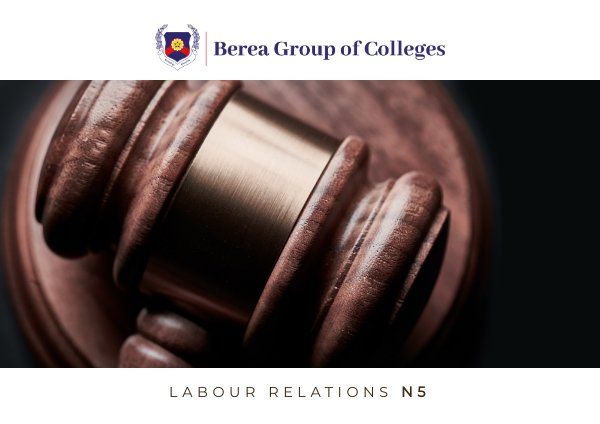 N5 Labour Relations by E-Publishing - Flipsnack