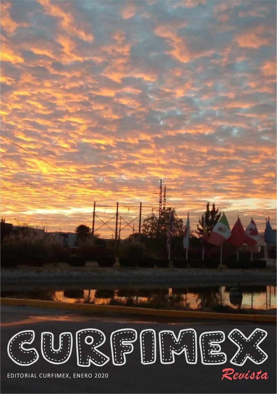 CURFIMEX 2020 by Color - Flipsnack