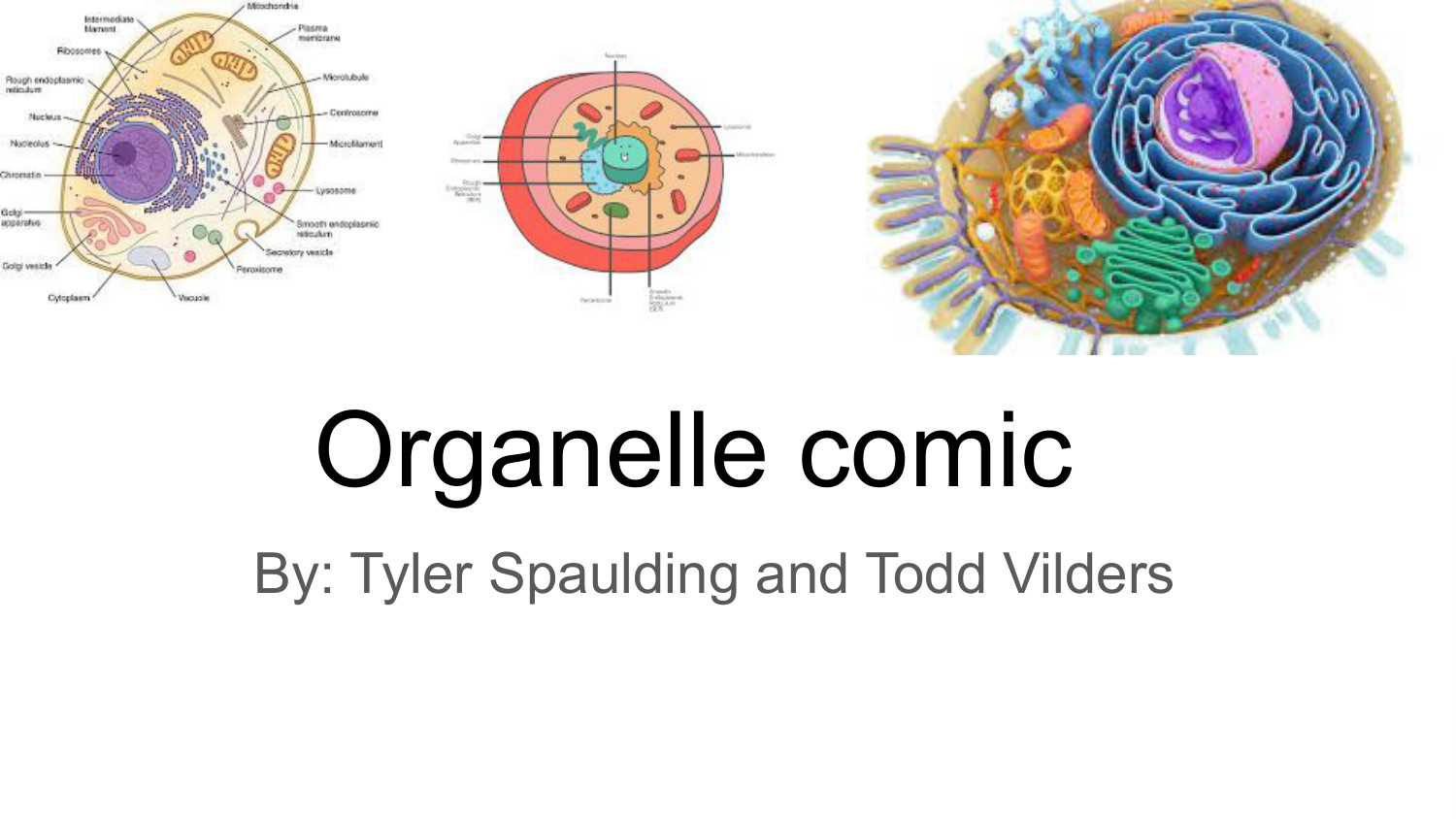 organelle comic by Todd Vilders - Flipsnack