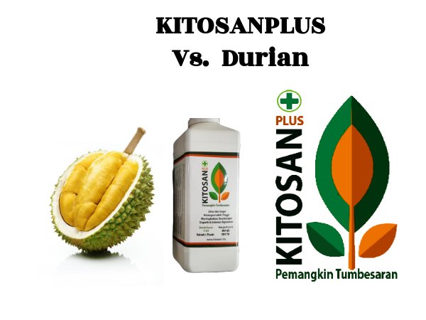 DUrian Kitosanplus by Kitosan - Flipsnack