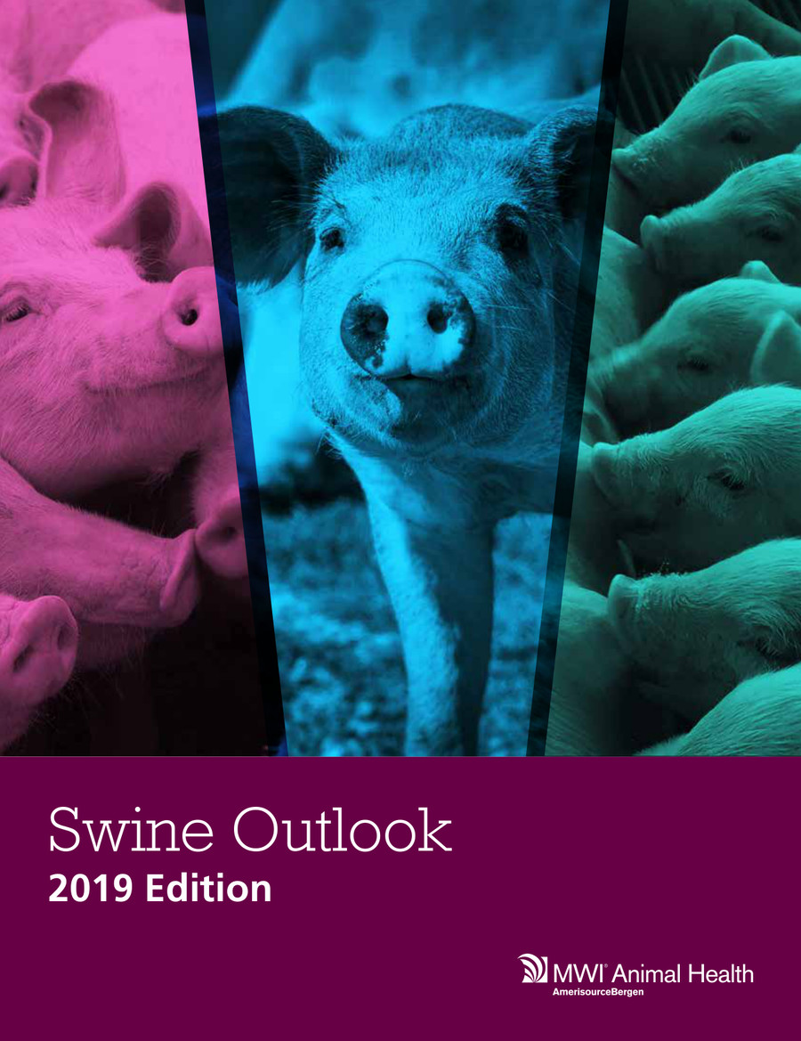 Swine Outlook, 2019 Edition by MWI Animal Health - Flipsnack
