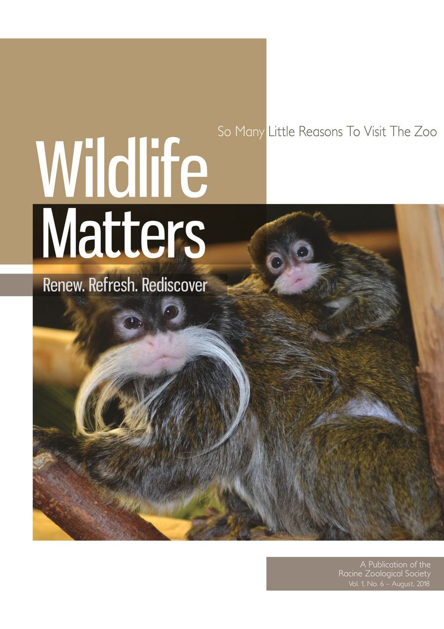 Wildlife Matters August 2018 by Beth Heidorn - Flipsnack