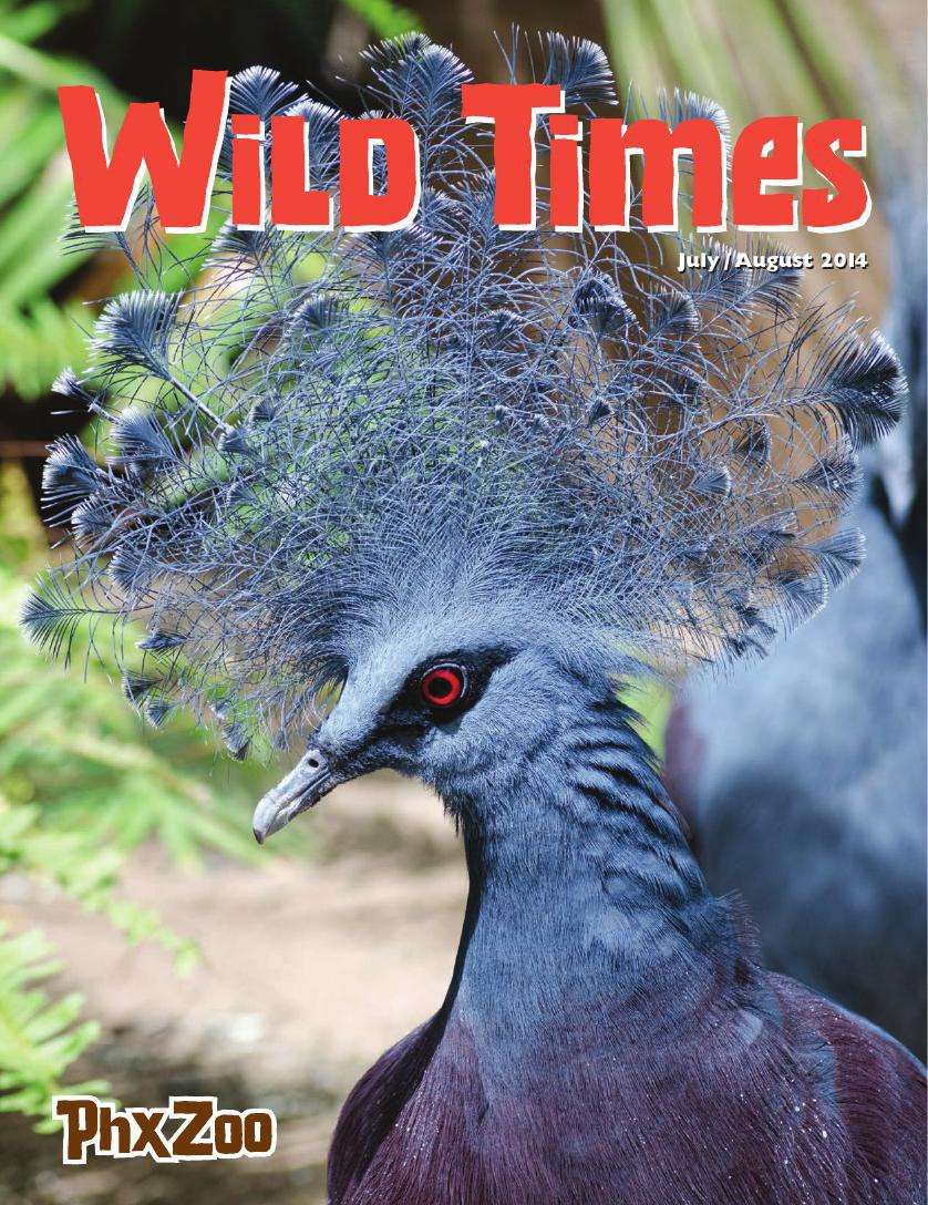 Wild Times July/August 2014 by phxzoo - Flipsnack