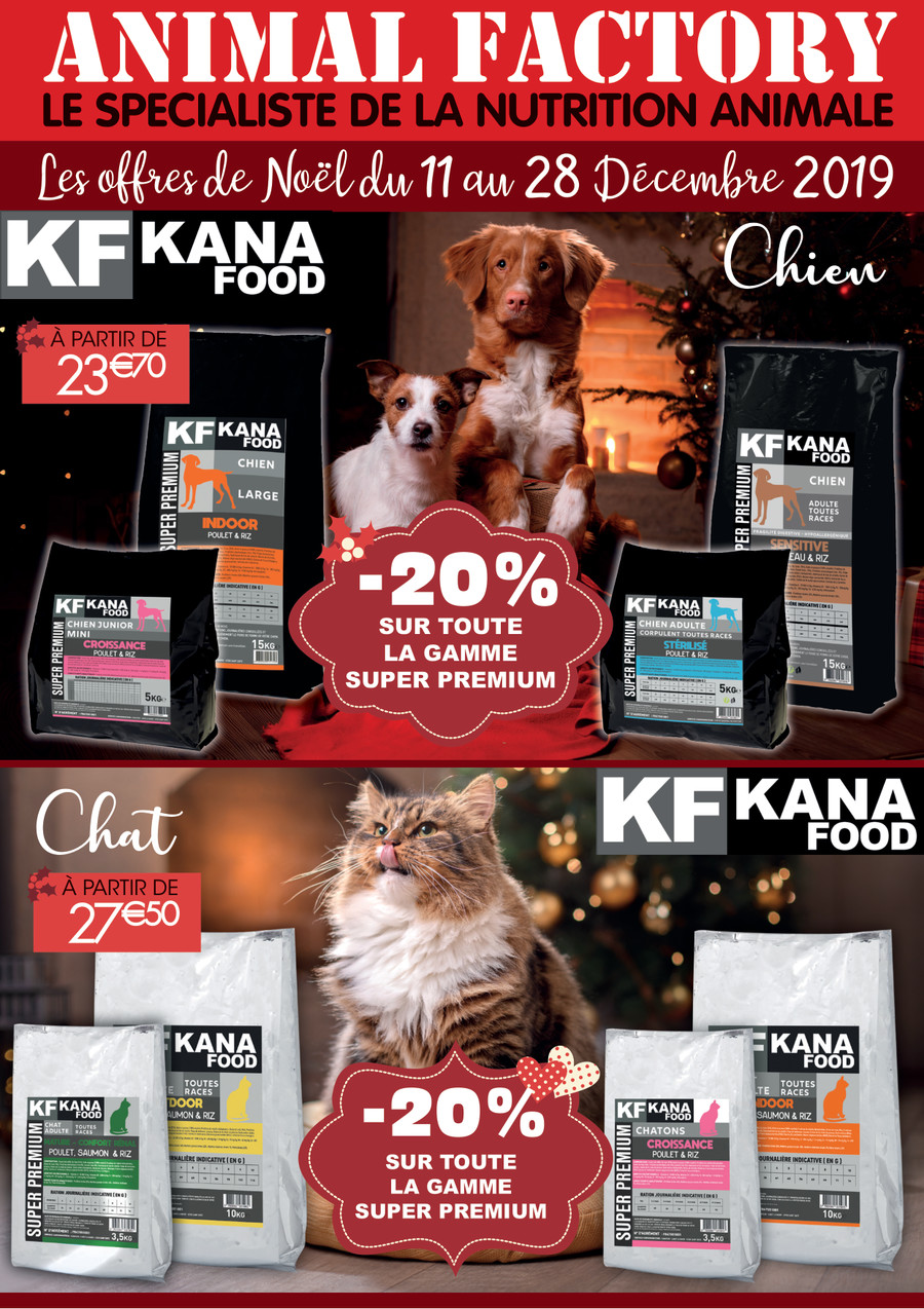 CATA AF DEC19-Def flipsnack_02 by Charlotte - Flipsnack