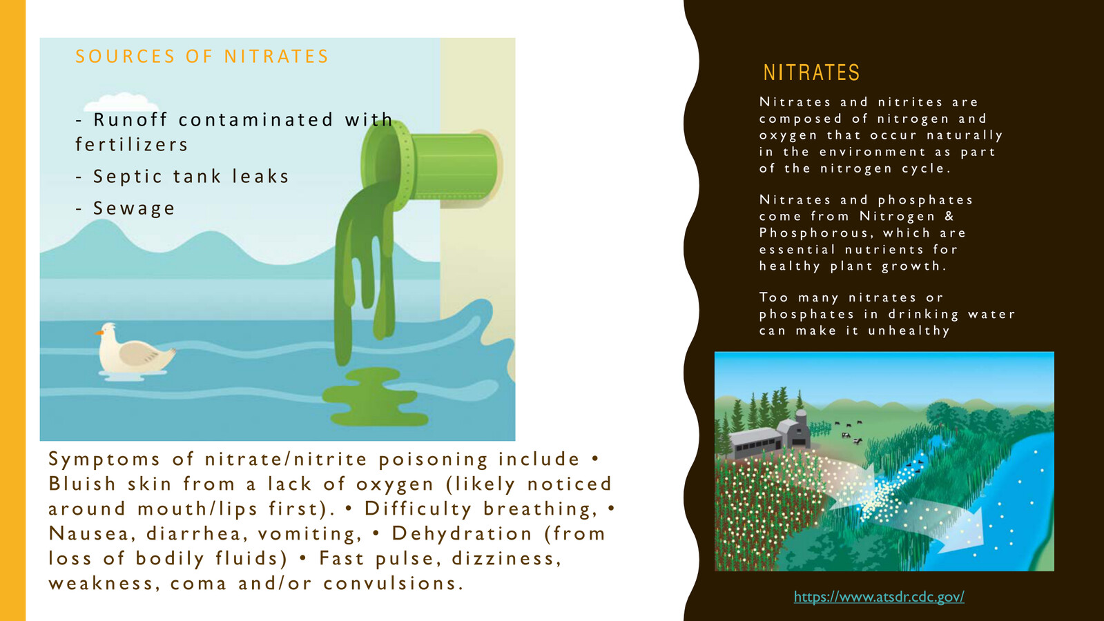 Project #4 by Stacy Fortner - Flipsnack