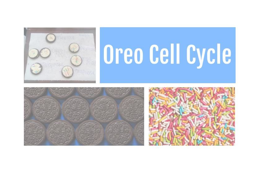 Oreo Cell Cycle by scienceats - Flipsnack