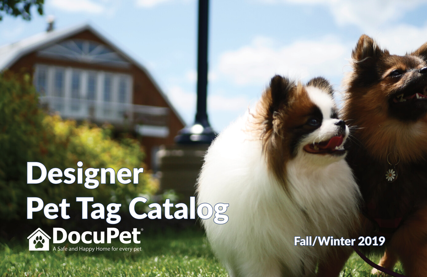 DocuPet Designer Tag Catalog by Rachael Sudds - Flipsnack