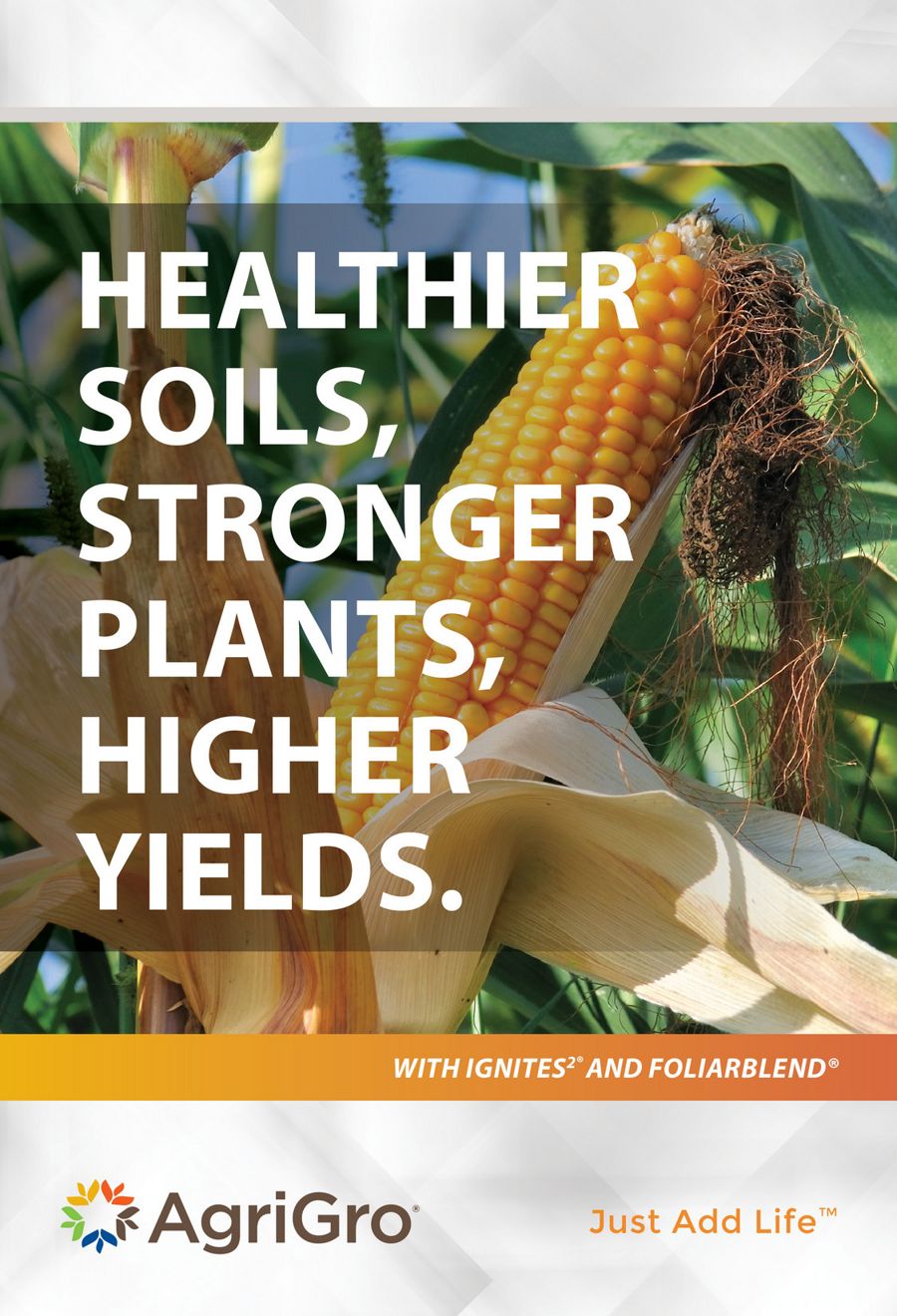FoliarBlend Corn Brochure by AgriGro Inc - Flipsnack
