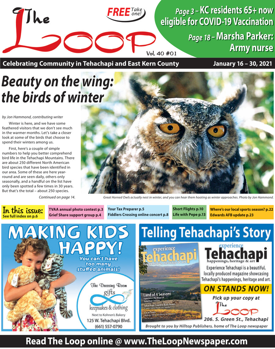 The Loop Newspaper - Vol 40 No 01 - January 16-30, 2021 by Robert ...
