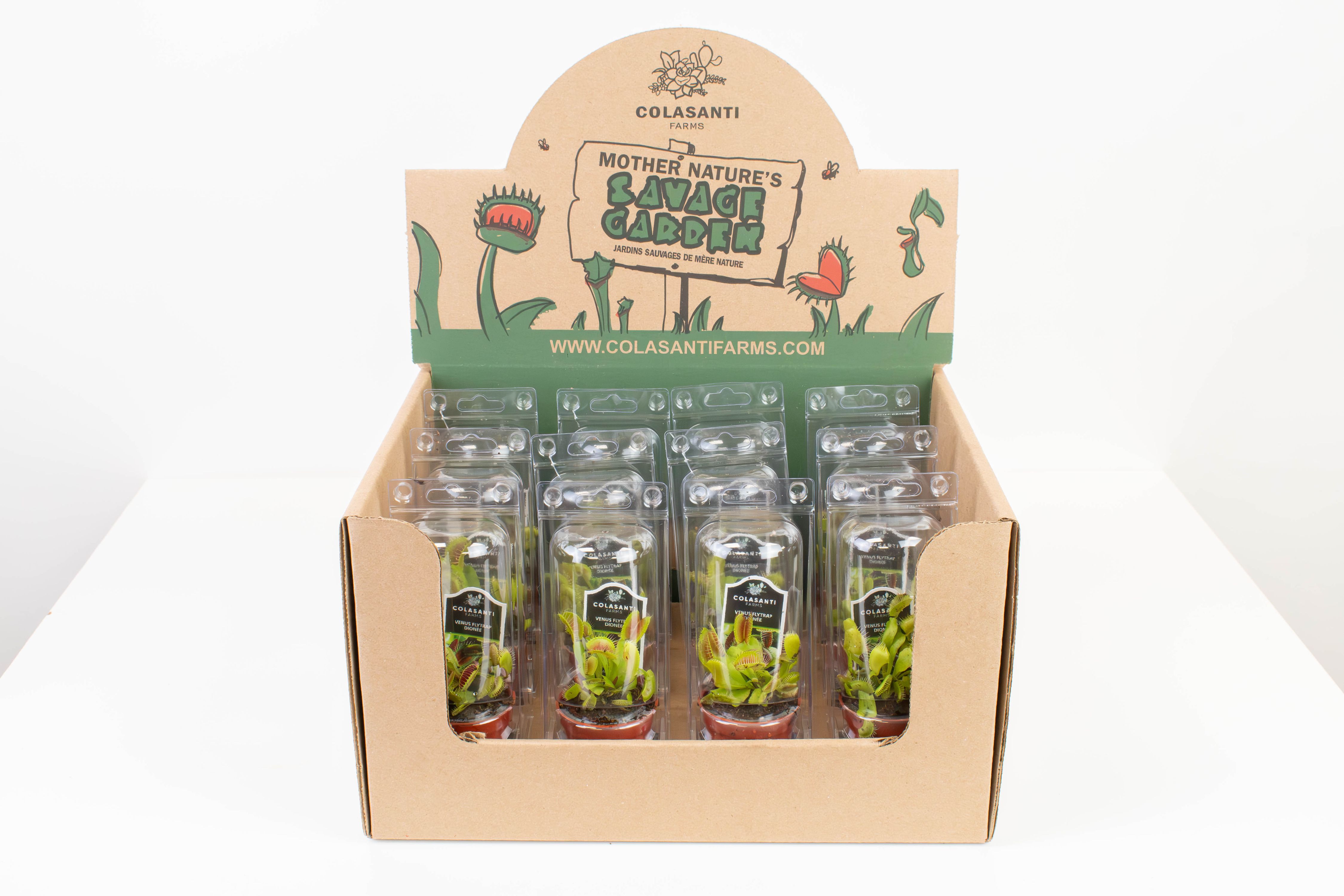 Carnivorous & Tillandsia + – Colasanti Farms