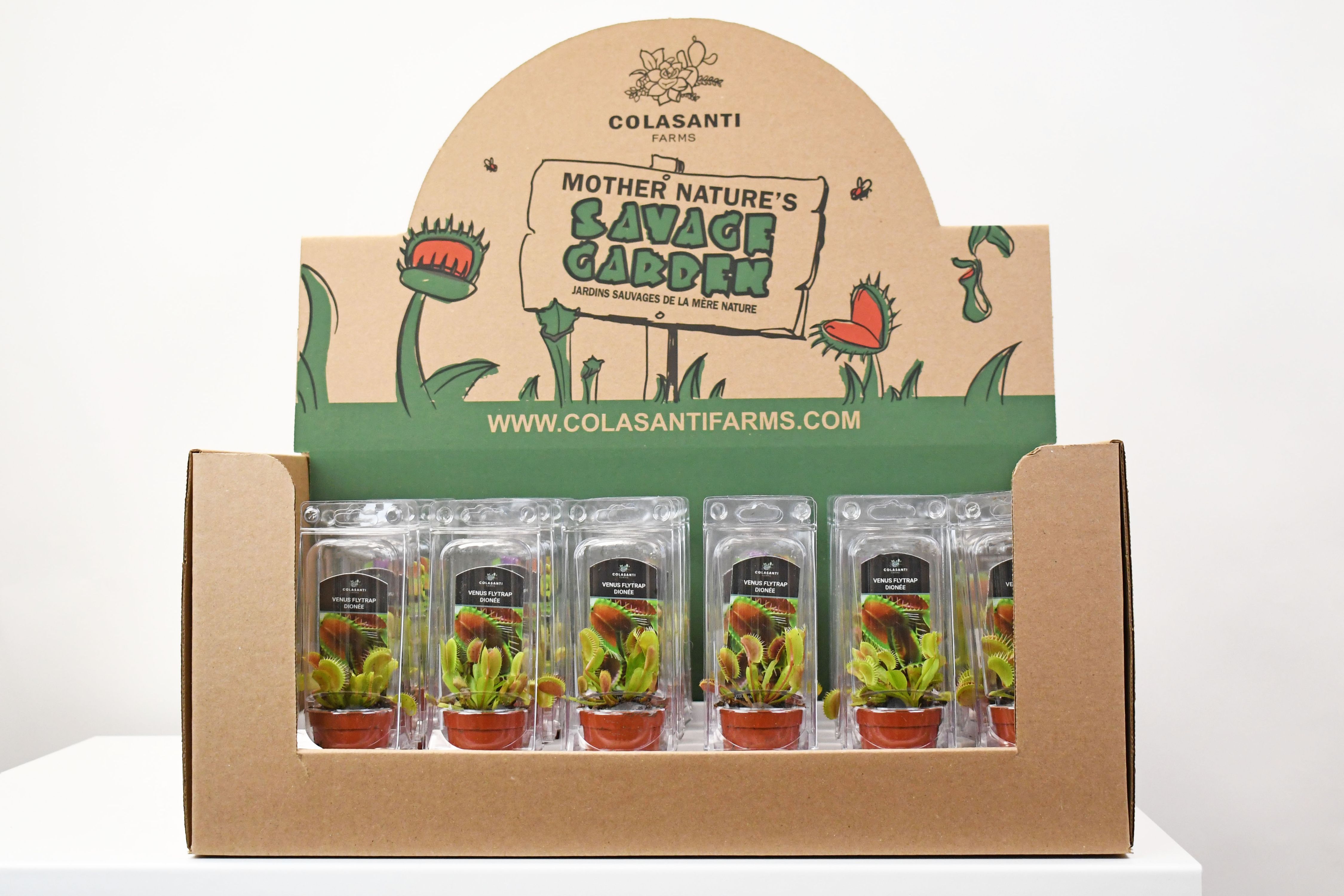 Carnivorous & Tillandsia + – Colasanti Farms