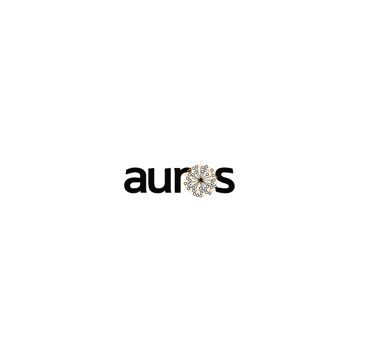 Auros Knowledge Systems, aurosks - Flipsnack